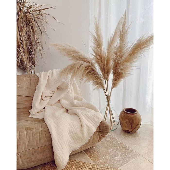 Jual PAMPAS SUPER BUNGA HIASAN RUANG TAMU | Shopee Indonesia