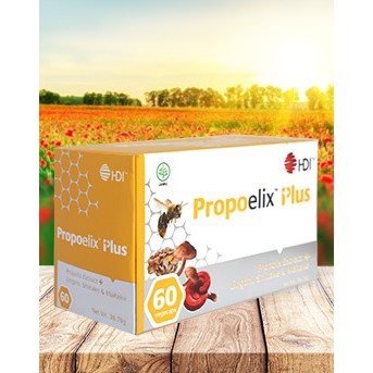 Jual Propoelix Plus (60 Vegekaps) | Shopee Indonesia
