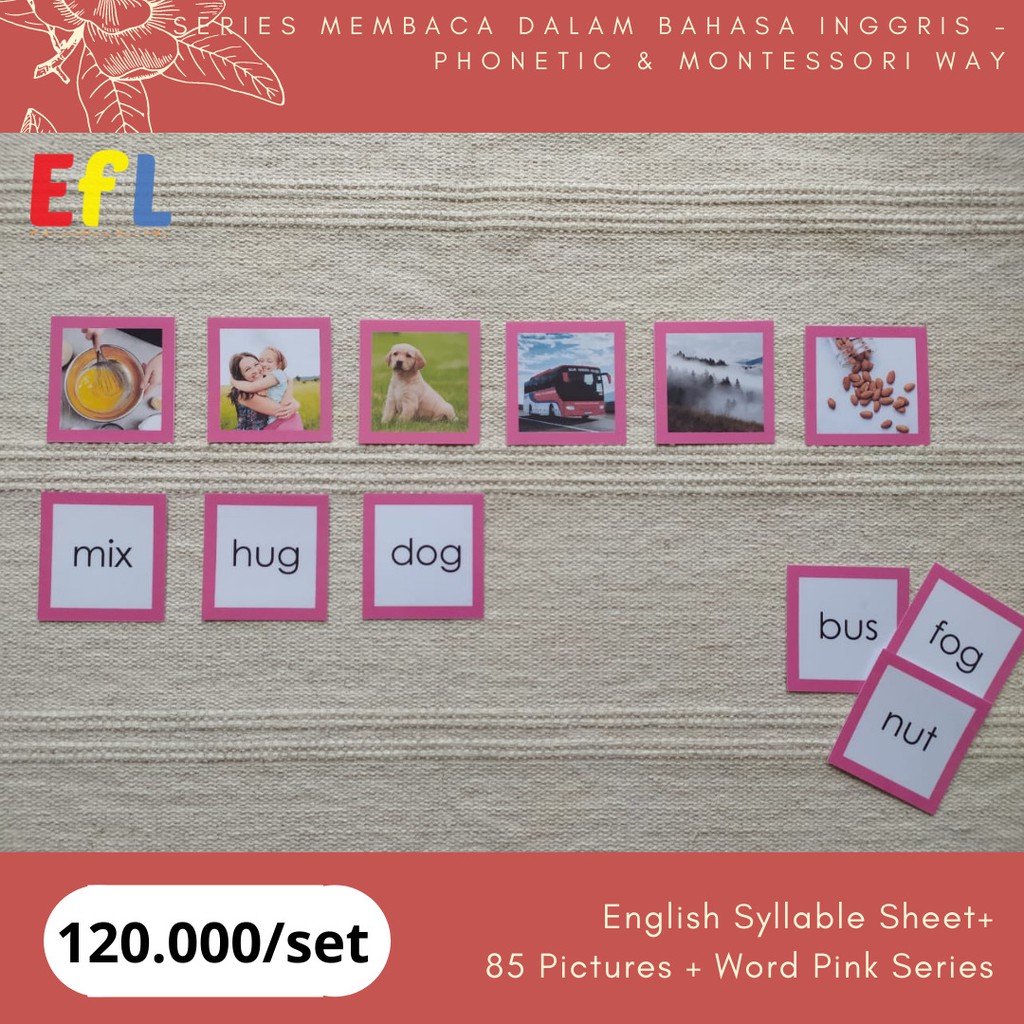 Jual Montessori Picture Cards with Name Tags ( Pink Series - English ...
