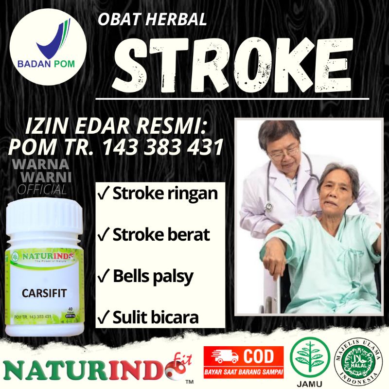 Jual Obat Stroke Ringan Berat Bells Palsy Sulit Bicara Hipertensi Darah ...