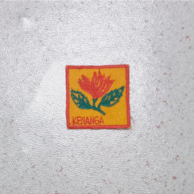 Jual Badge Regu Putri Pramuka Penggalang | Shopee Indonesia