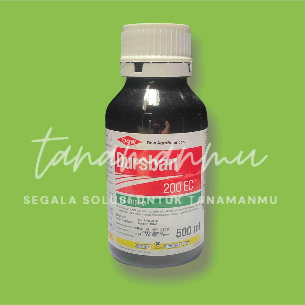 Jual Pengendali Hama Tanaman (insektisida). Dursban 500 mL | Shopee ...