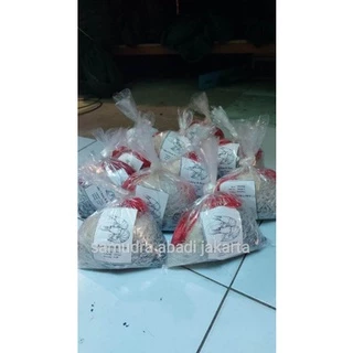 Jual Jala Ikan Terlengkap & Harga Terbaru Juli 2024 | Shopee Indonesia