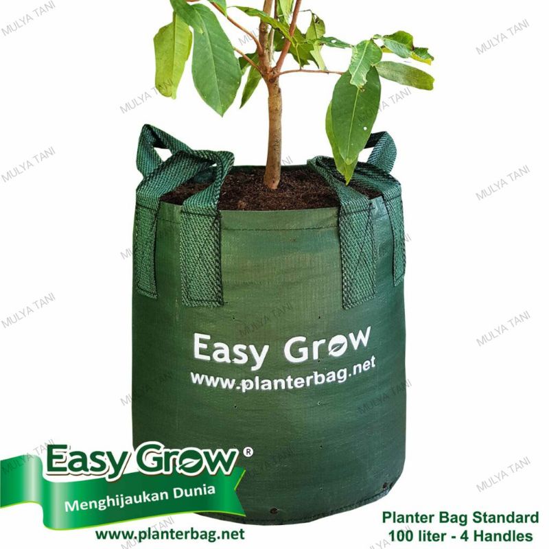 Jual PLANTERBAG EASY GROW PLANTER BAG TANAMAN AWET 50 LITER | Shopee ...