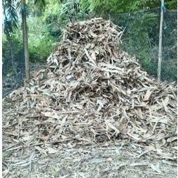 Jual Daun Bambu Kering Andam Bambu Media Tanam | Shopee Indonesia