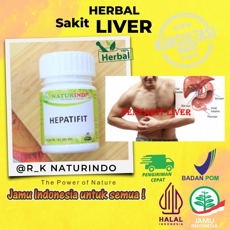 Jual Obat Liver Hati Hepatitis Akut Memperbaiki Fungsi Hati Naturindo ...