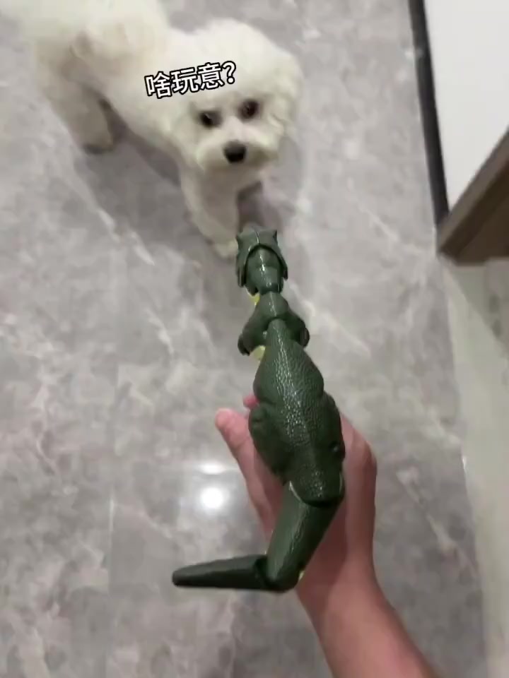 Jual Lele Toys【28cm + Suara Dinosaurus + Lampu + Gerakan Seluruh Tubuh ...