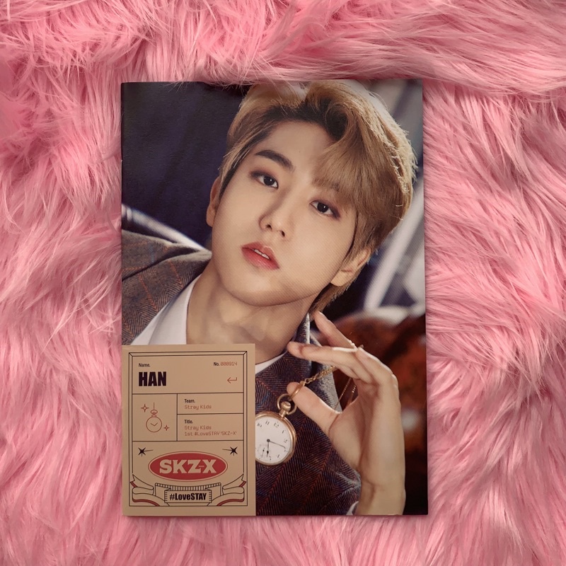 Jual Photobook Stray Kids SKZ SKZ X 1st Fanmeet Love Stay Hyunjin Lee ...
