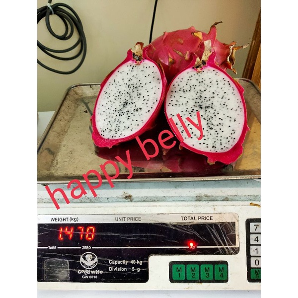 Jual Buah Naga Putih Satuan | Shopee Indonesia