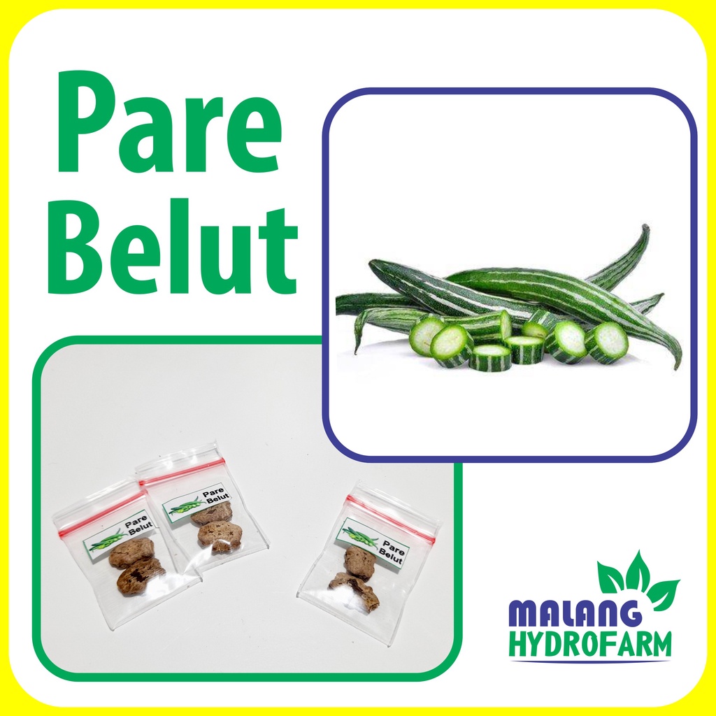 Jual Benih Pare Belut Unggulan berkualitas biji paria bibit hydroponik ...