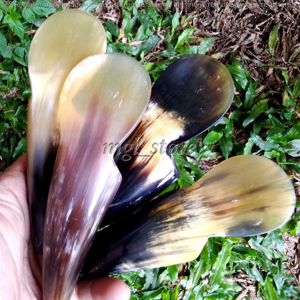 Jual Alat kerik kerokan tanduk sapi asli / alat terapi pijat dan kerik ...