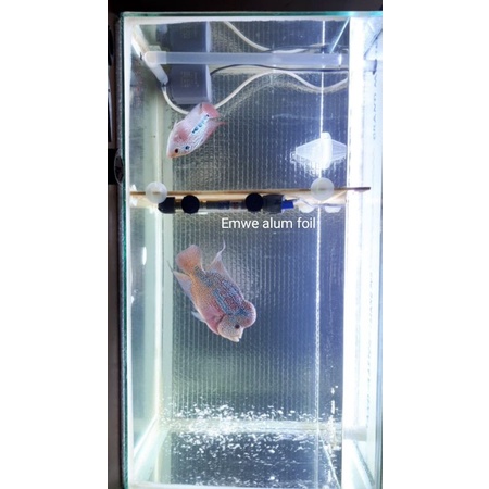 Jual 25cm x 120cm Background Aquarium Beground Begron Akuarium ...