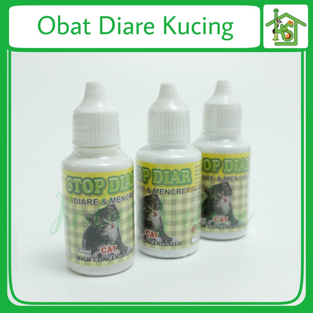 Jual STOP DIAR Obat Diare & Mencret Kucing - Kedai Satwa | Shopee Indonesia Jual STOP DIAR Obat Diare & Mencret Kucing - Kedai Satwa | Shopee Indonesia