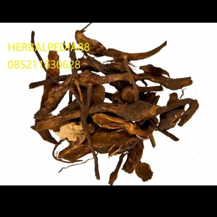 Jual Di yu 地榆 Trachycarpi Petiolus 100 gram | Shopee Indonesia
