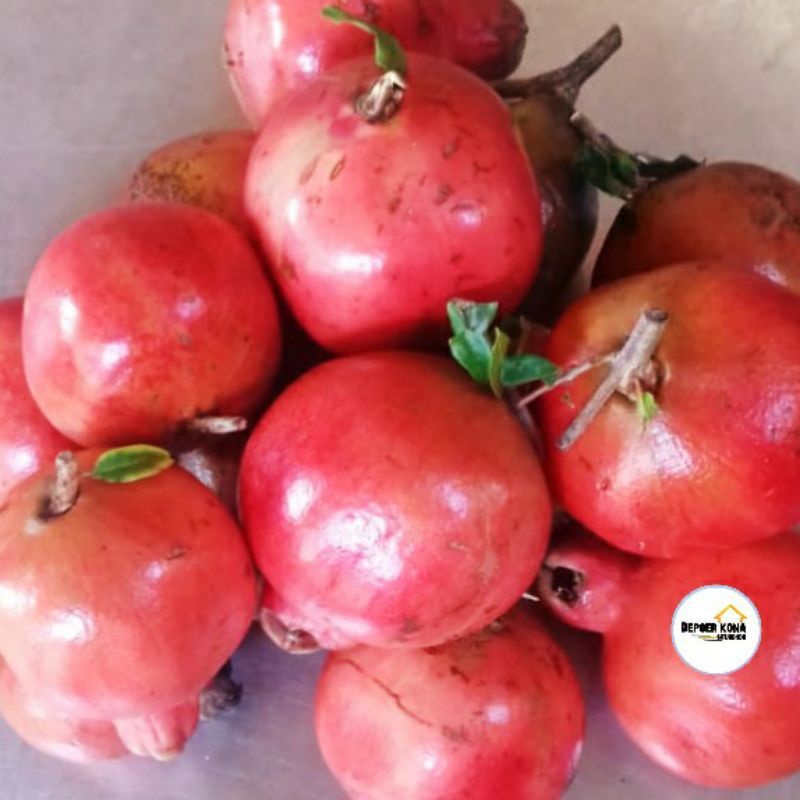 Jual buah delima merah segar ukuran medium/sedang | Shopee Indonesia