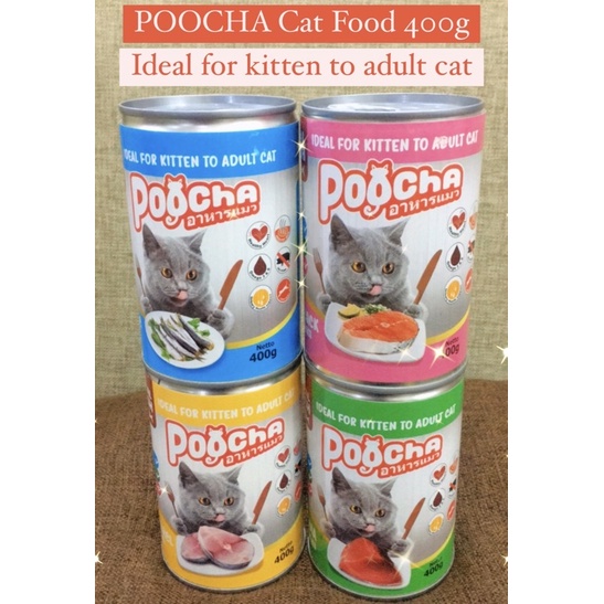 Jual POOCHA Cat 400g - Makanan Kucing Kaleng Basah Kitten Adult Wet ...
