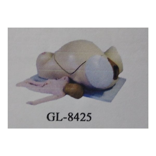 Jual Alat Peraga Manekin Model Child Birth Simulator Persalinan GL 8425 ...