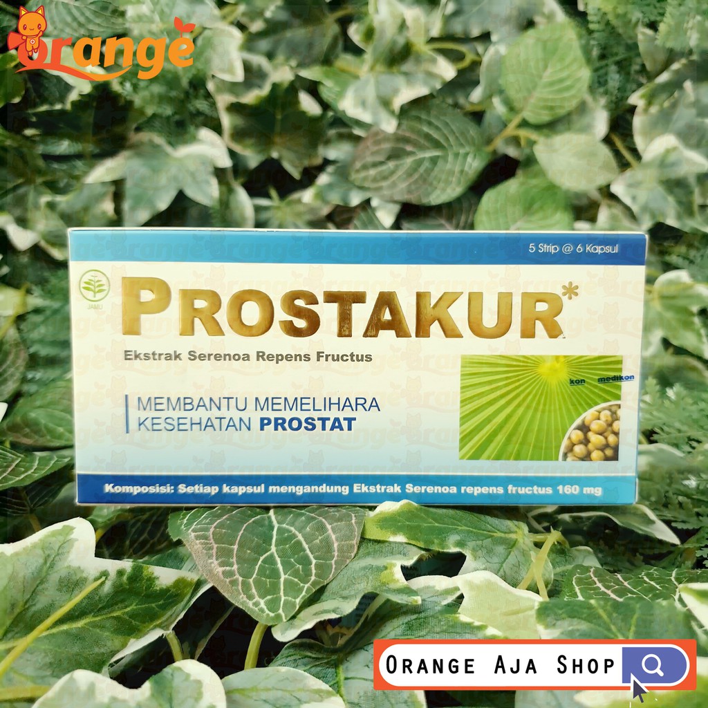 Jual PROSTAKUR 6 KAPSUL | Shopee Indonesia