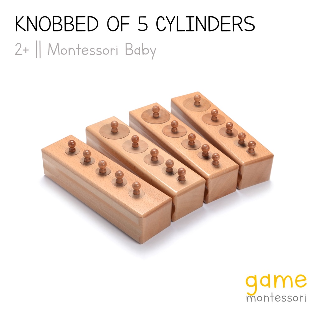 Jual Game Montessori Toddlers Knobbed Cylinders | Shopee Indonesia
