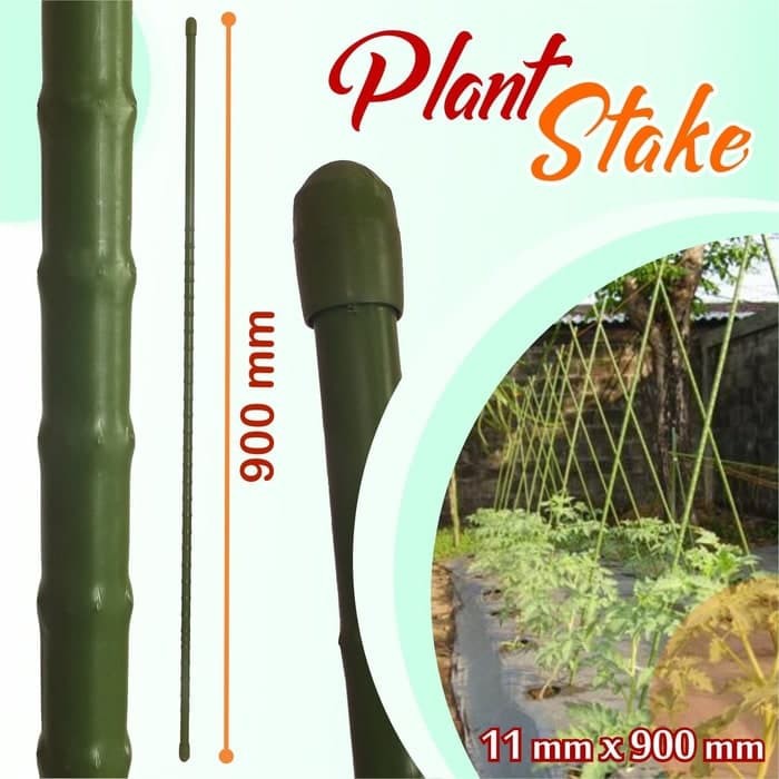 Jual Ajir Penahan Tanaman Modern Plant Stake - 11 mm x 900 mm | Shopee ...