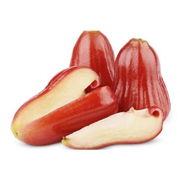 Jual Jambu Air Merah Citra Super 1 Kg | Shopee Indonesia