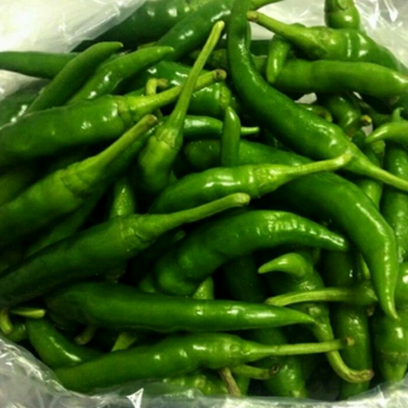 Jual Cabe Ijo Gede / Cabe Hijau Besar 500 Gram | Shopee Indonesia