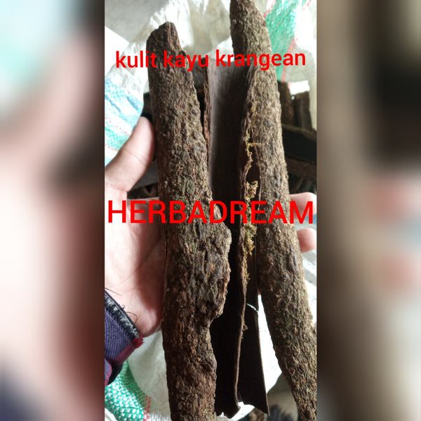 Jual 15 GRAM KULIT KAYU KRANGEAN LITSEA CUBEBA KILEMO KAYU LEMO LAN GAN ...