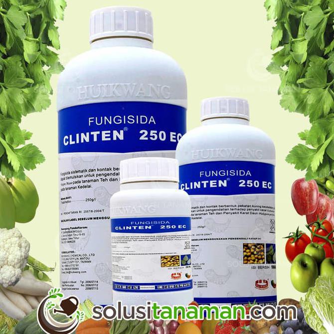 Jual Buruan Beli.. Obat Hama Clinten @ 250 Ml Fungisida Pembasmi Hama ...