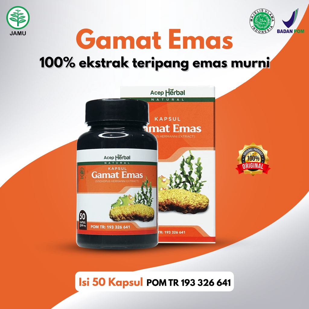 Jual Walatra Gamat Emas Kapsul Asli 100% Original Ekstrak Teripang Emas ...