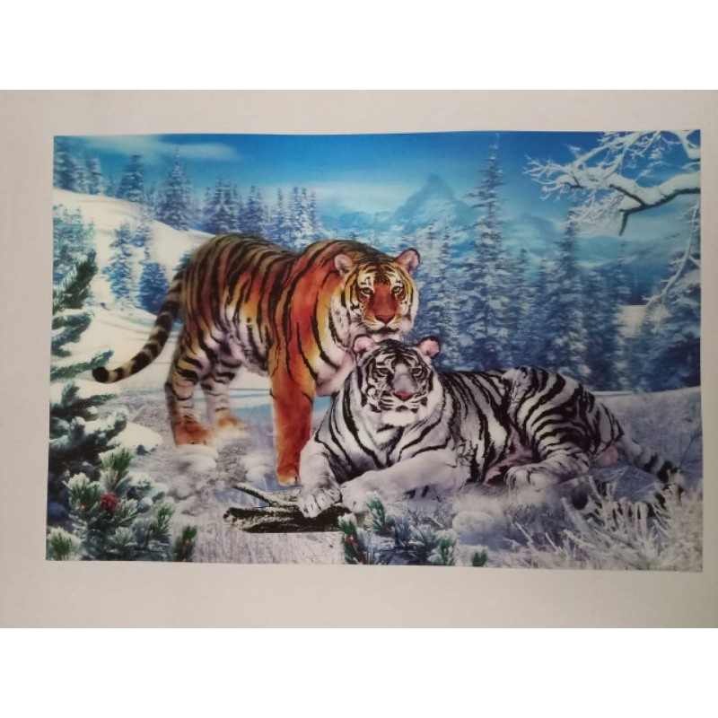 Jual POSTER HARIMAU 3 DIMENSI UKURAN 58X38 CM (terlihat hidup & nyata ...