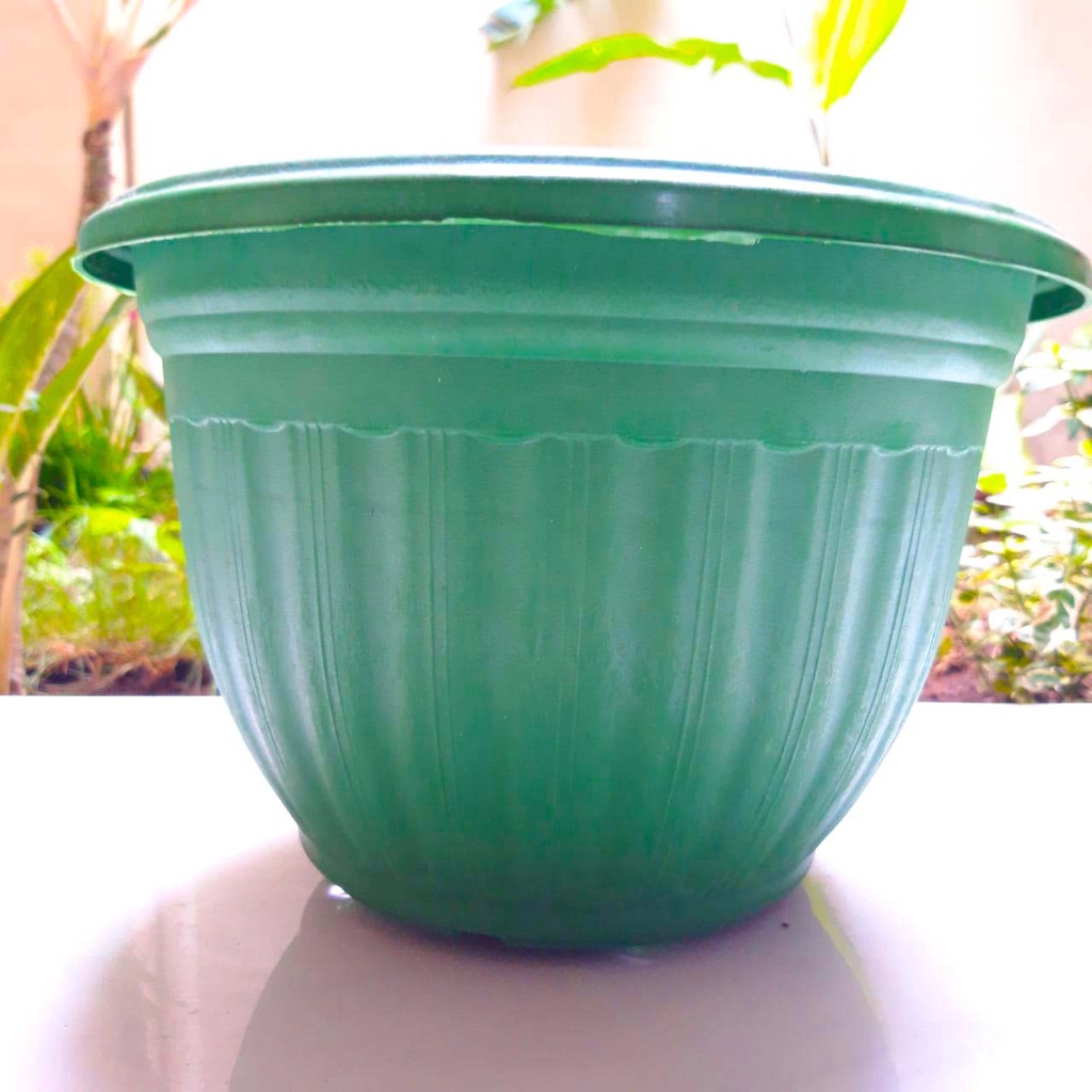 Jual Pot Matahari 40 Panda Star / Pot Bunga / Pot Tanaman / Pot tawon ...