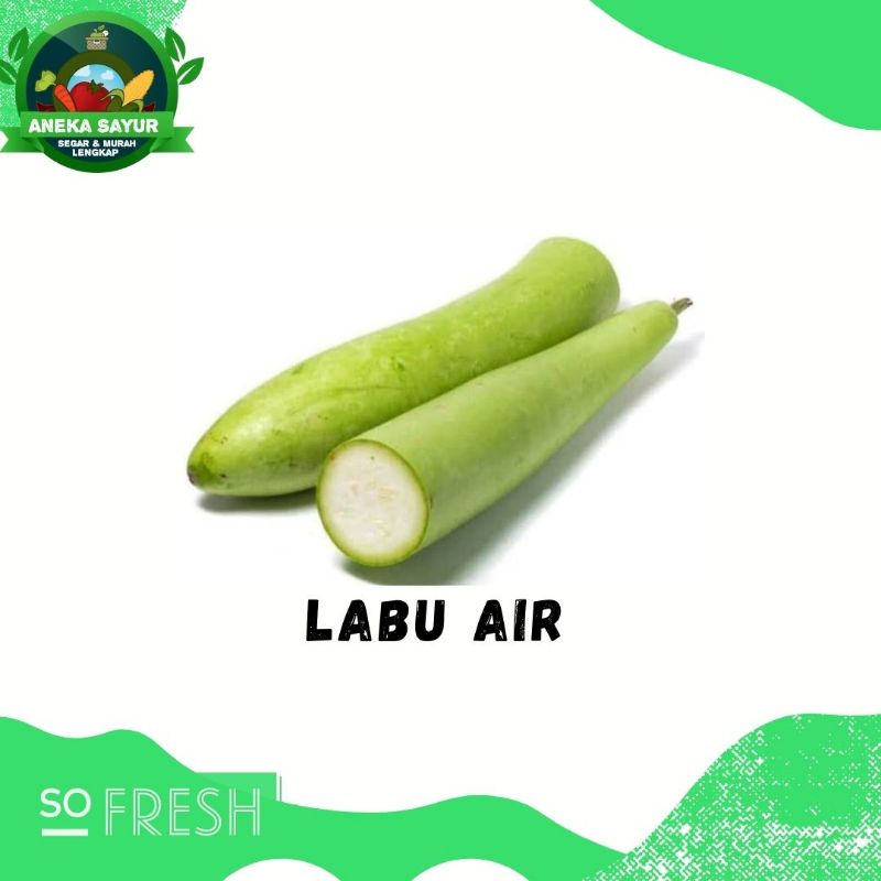 Jual Labu Air | Shopee Indonesia