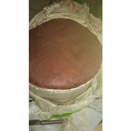 Jual Teradi Udang Bombana 1kg | Shopee Indonesia