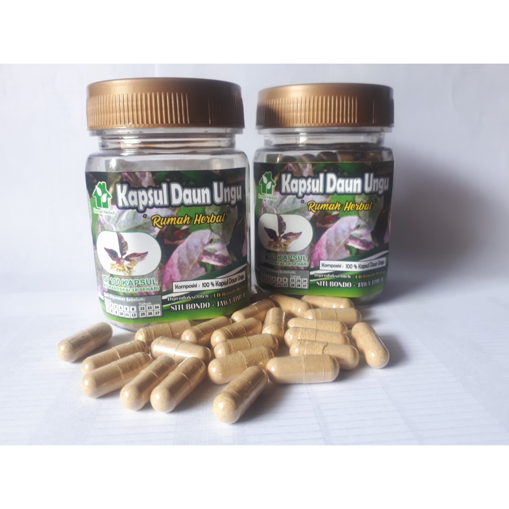 Jual Kapsul Daun Ungu Isi 100 Kapsul | Shopee Indonesia