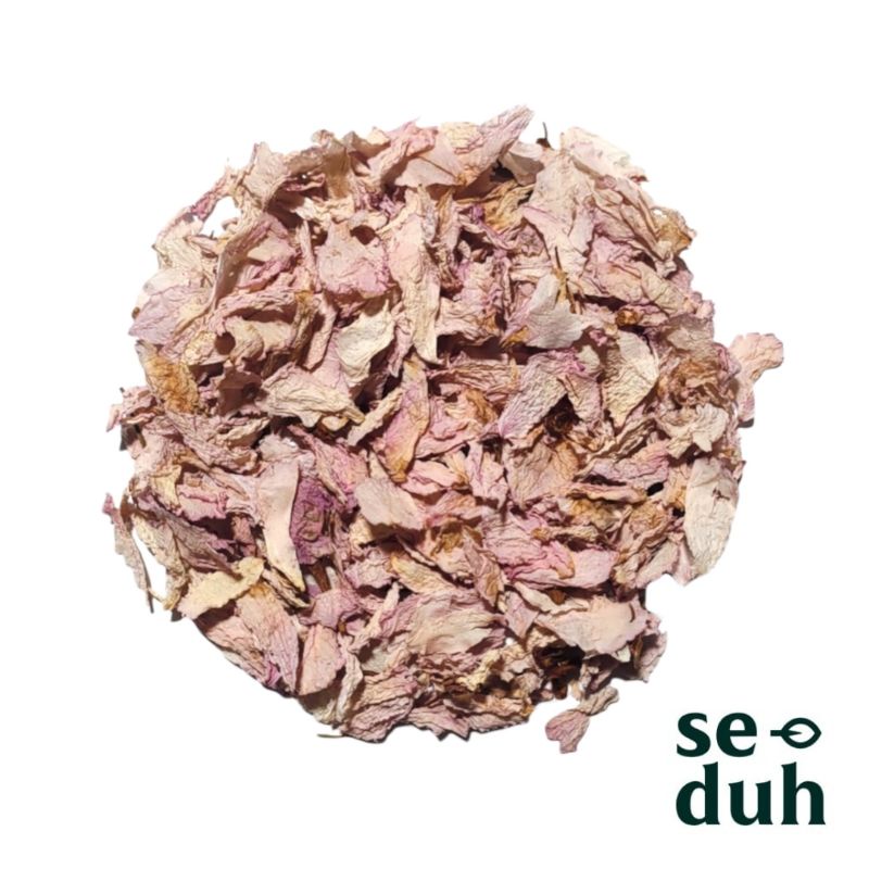Jual Pure Sakura Petal Tea / Teh Bunga Sakura Kering 8 gram | Shopee ...