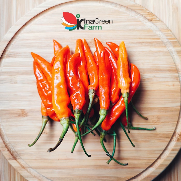 Jual Inagreen Farm Bandung Cabai Rawit Domba 100 Gram | Shopee Indonesia