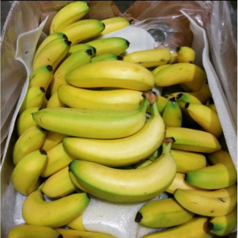 Jual Buah Pisang Sunpride 1 Dus Buah Pisang Cavendish Buah Pisang Ambon ...
