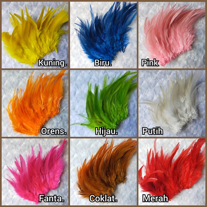 Jual Bulu ayam Hias - Bulu ayam Warna | Shopee Indonesia