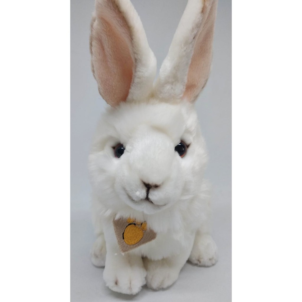 Jual Boneka Kelinci Paskah/Kelinci(S) | Shopee Indonesia