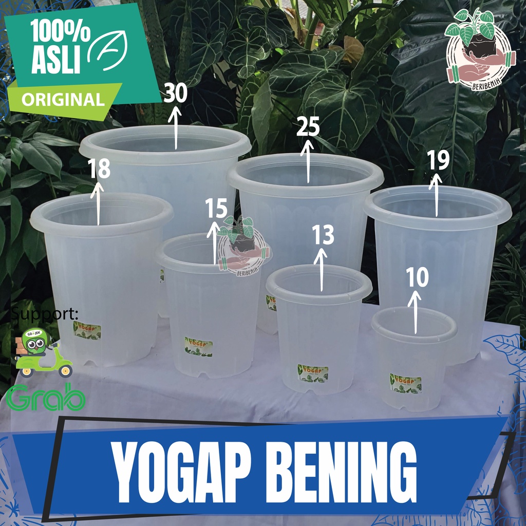 Jual Pot Tanaman HIas Cantik Yogap BENING Cantik Untuk Tanaman Hias Pot ...