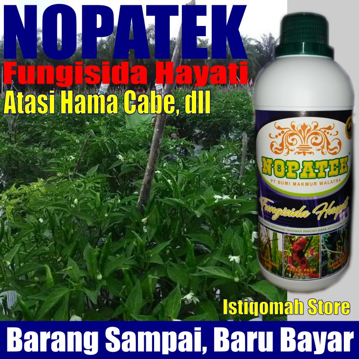 Jual PRODUK- NOPATEK FUNGISIDA OBAT PENYAKIT TANAMAN SAYURAN CABE TOMAT ...