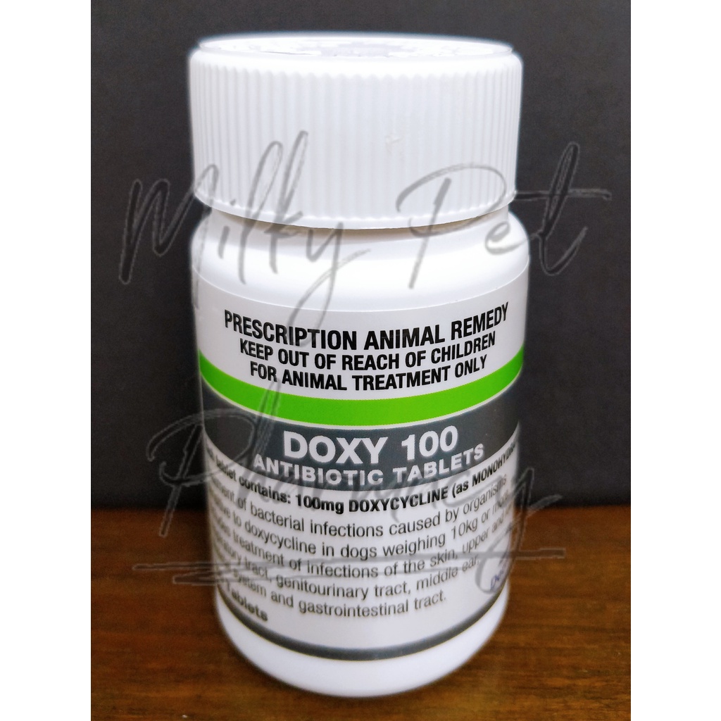 Jual DOXY 50MG & 100MG 150 TABLETS (BOTOL) | Shopee Indonesia