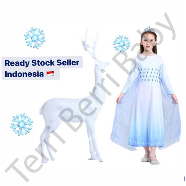 Jual baju Elsa costume / costum / custom / costumes kostom frozen ...