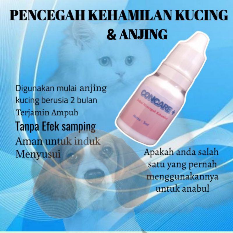 Jual Concare kb kucing anjing/Obat penurun birahi anti libido persia ...