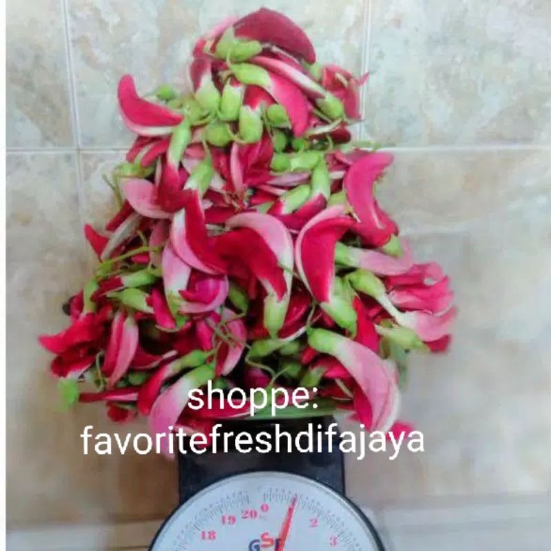 Jual Bunga Turi merah 1 kg fresh | Shopee Indonesia