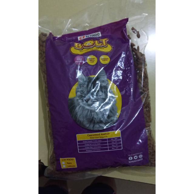 Jual Bold cat | Shopee Indonesia