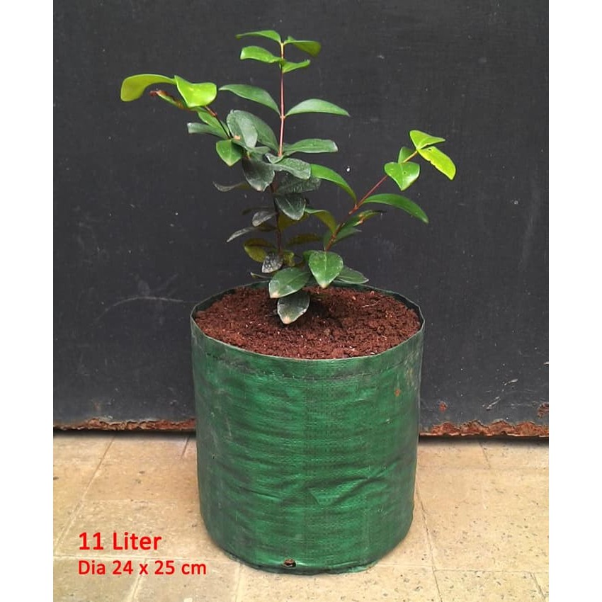 Jual Planter Bag 11 Liter | Shopee Indonesia