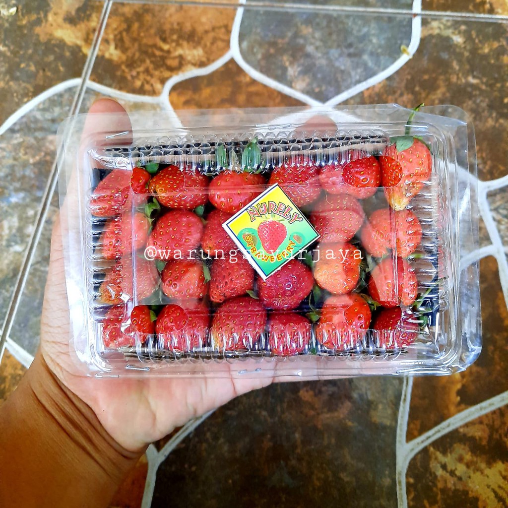 Jual Strawberry Segar / Stoberi | Shopee Indonesia