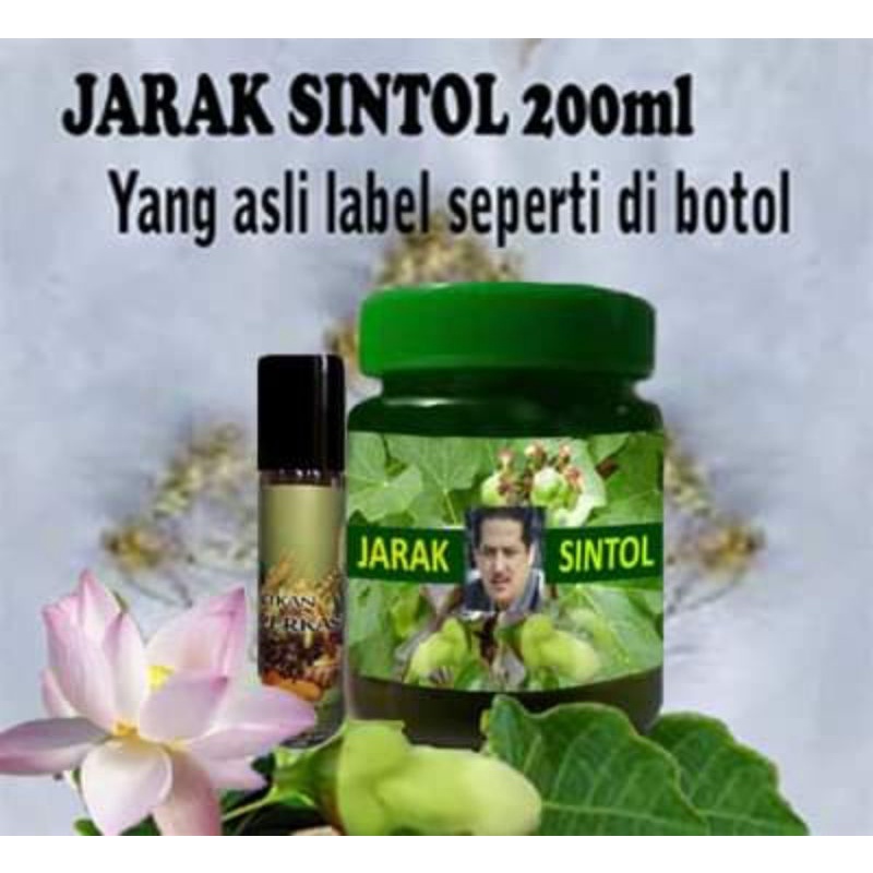 Jual krim DAUN JARAK SINTOL cukup dioles 200ml | Shopee Indonesia