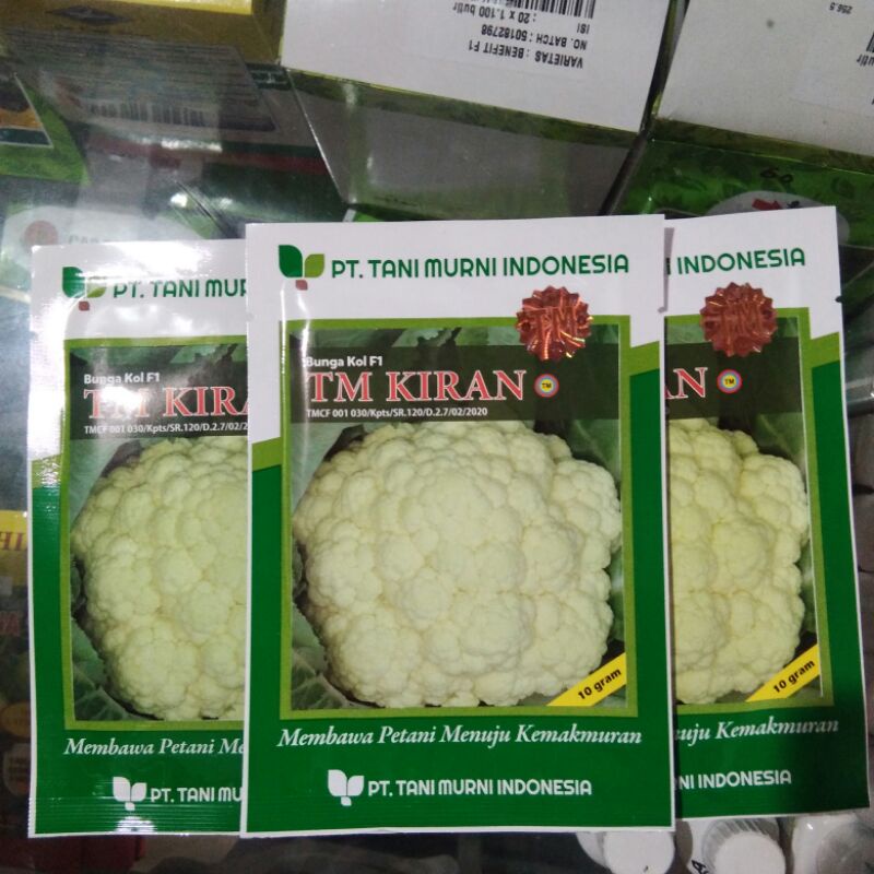 Jual # TERLARIS Bibit Benih Bungkol Bunga Kol Kembang Kol TM KIRAN ...